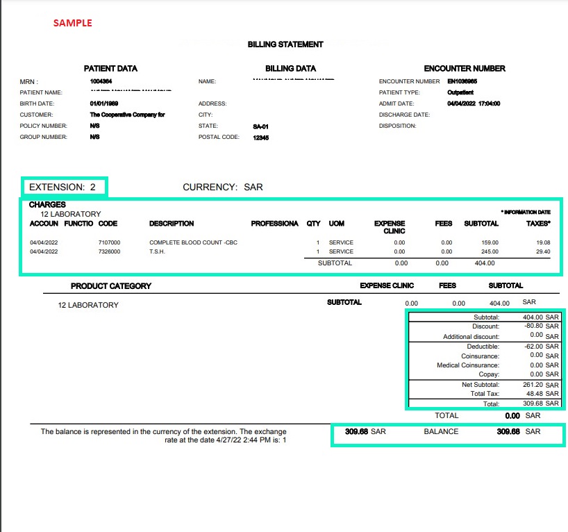 307 - Balance Encounter Report in Multibilling – eCareSoft, Inc Knowledge Base (EN)