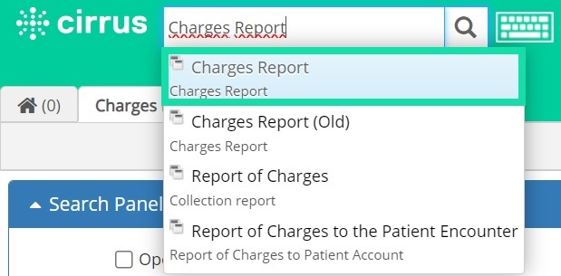523 - New Charges Report – eCareSoft, Inc Knowledge Base (EN)