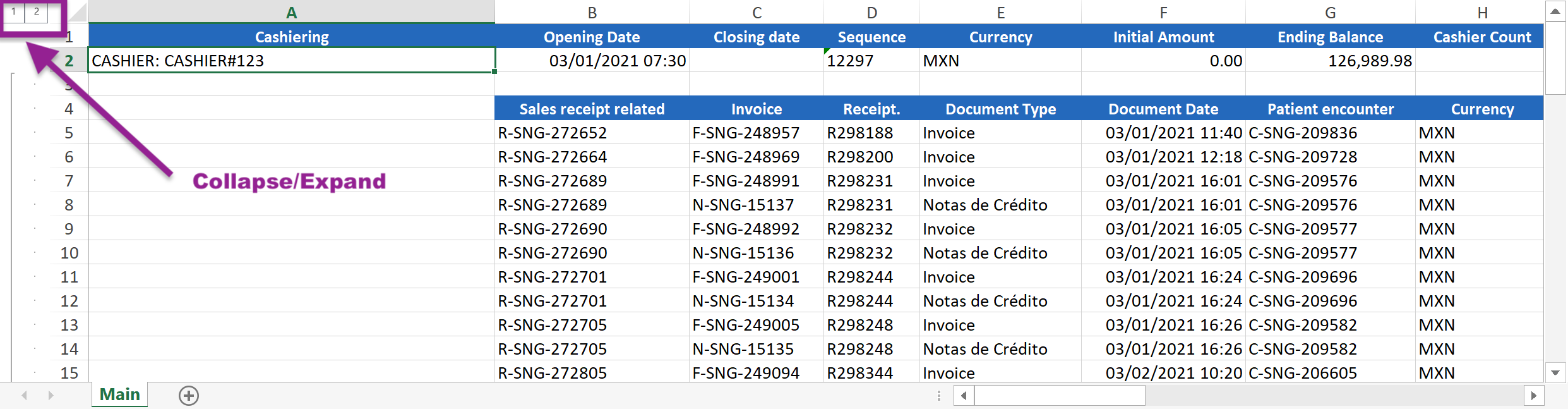 Common actions in Conciliation Cash Report – eCareSoft, Inc Knowledge Base (EN)