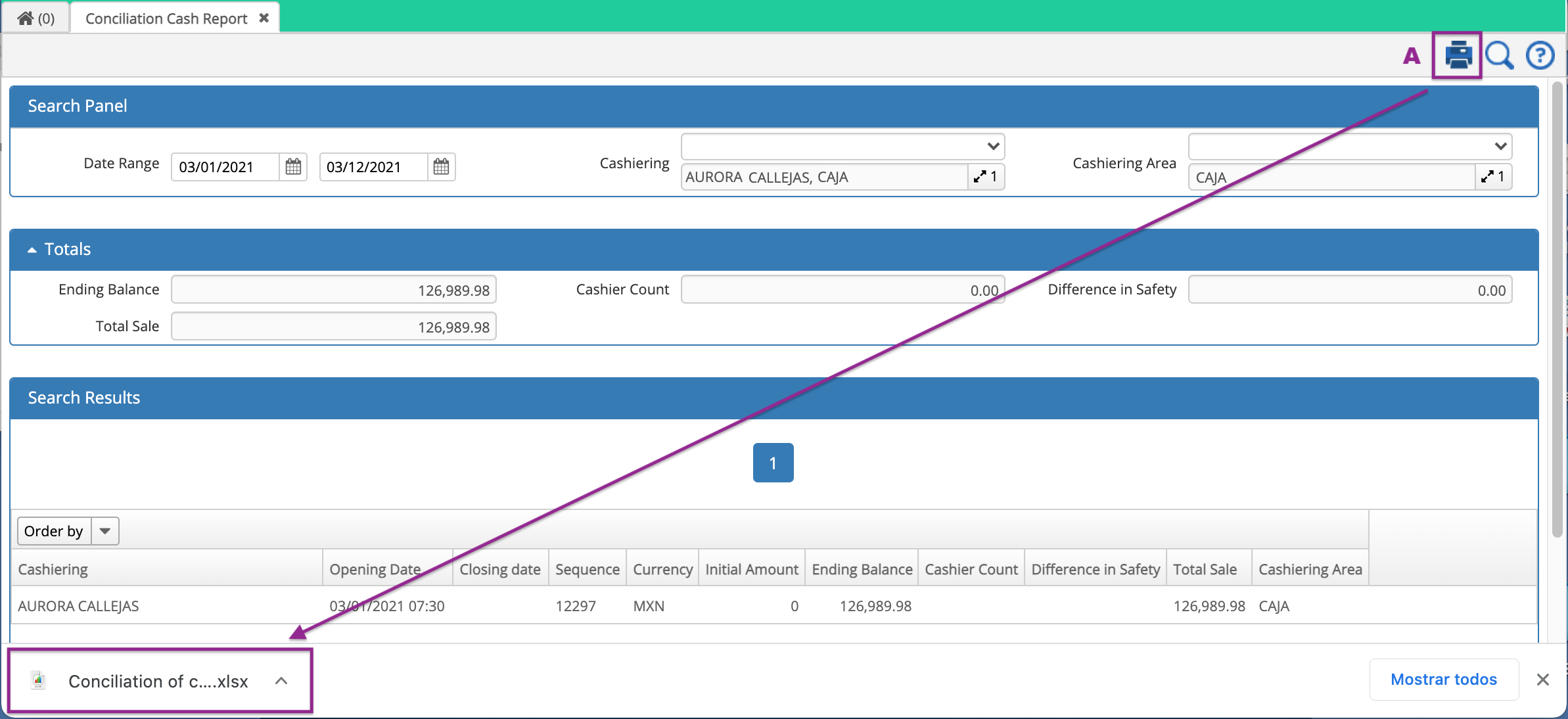 Common actions in Conciliation Cash Report – eCareSoft, Inc Knowledge Base (EN)