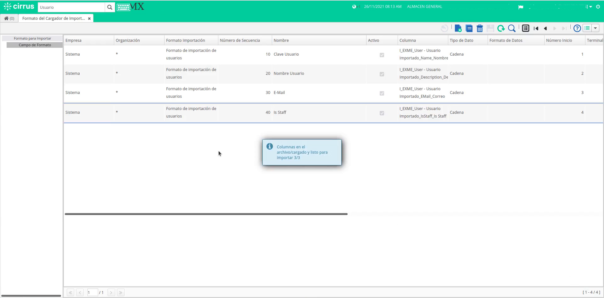 226 - Importación de usuarios desde archivo – eCareSoft, Inc Knowledge Base (ES)